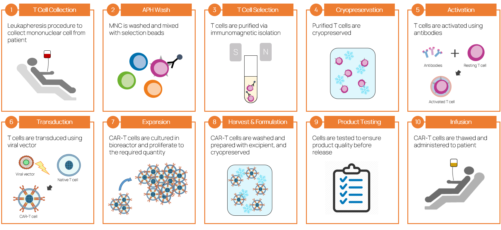 Process Development | JW Therapeutics